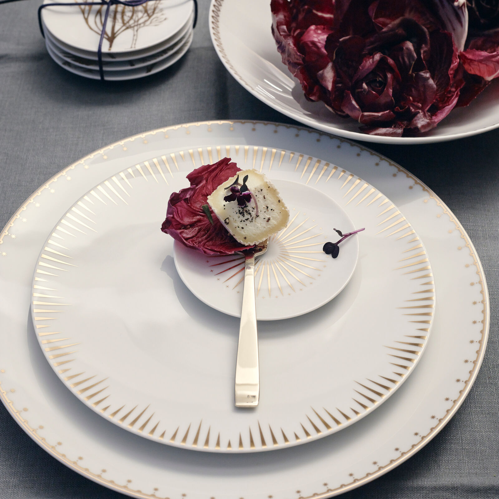 Rosenthal Porcelain, Dinner Plate, 11 inch, TAC Festive Celebration